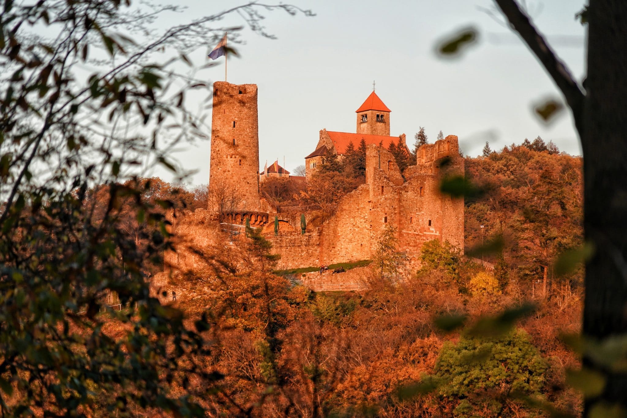 Philosophy - Weinheimer Leder